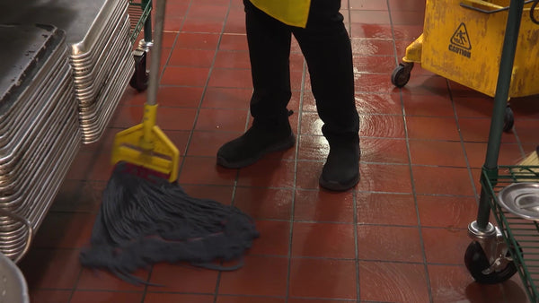 Cleaning and Sanitizing in Food Processing and Handling Environments ...