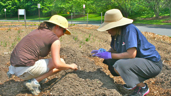 Landscape Safety Orientation | Workplace Safety | Maintenance - Grounds ...